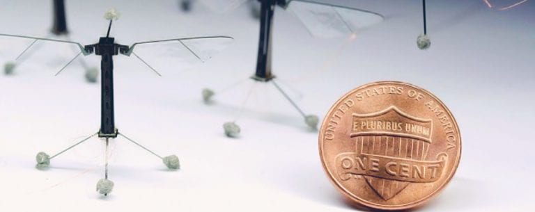 Harvard designs ‘RoboBee’ that can dive into water – Launched Tech News