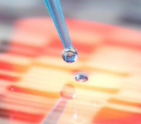 Cure: – Launched Tech News